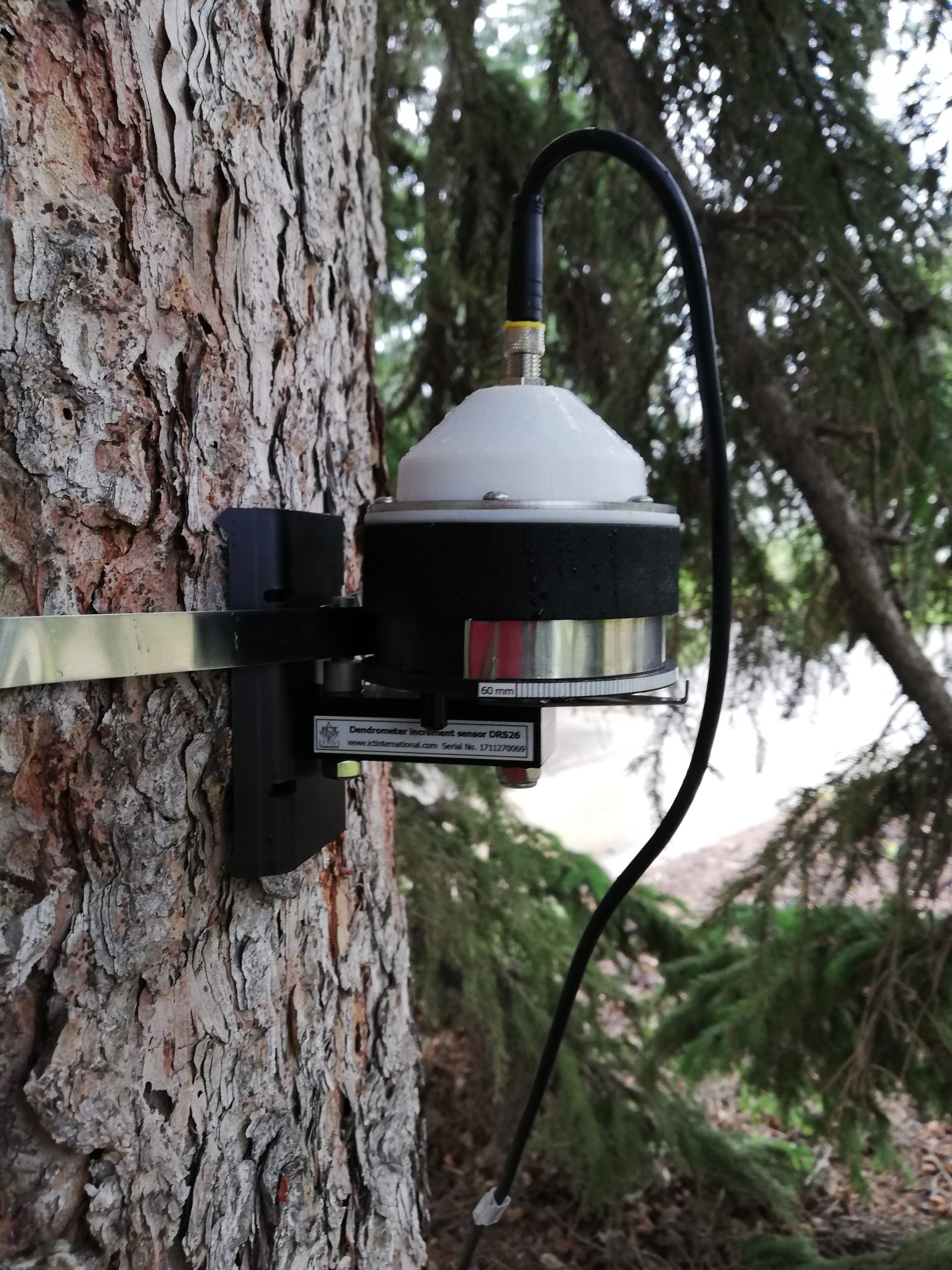 ICT International Band Dendrometer Station (SNiP-DBS6-SL) - Neura